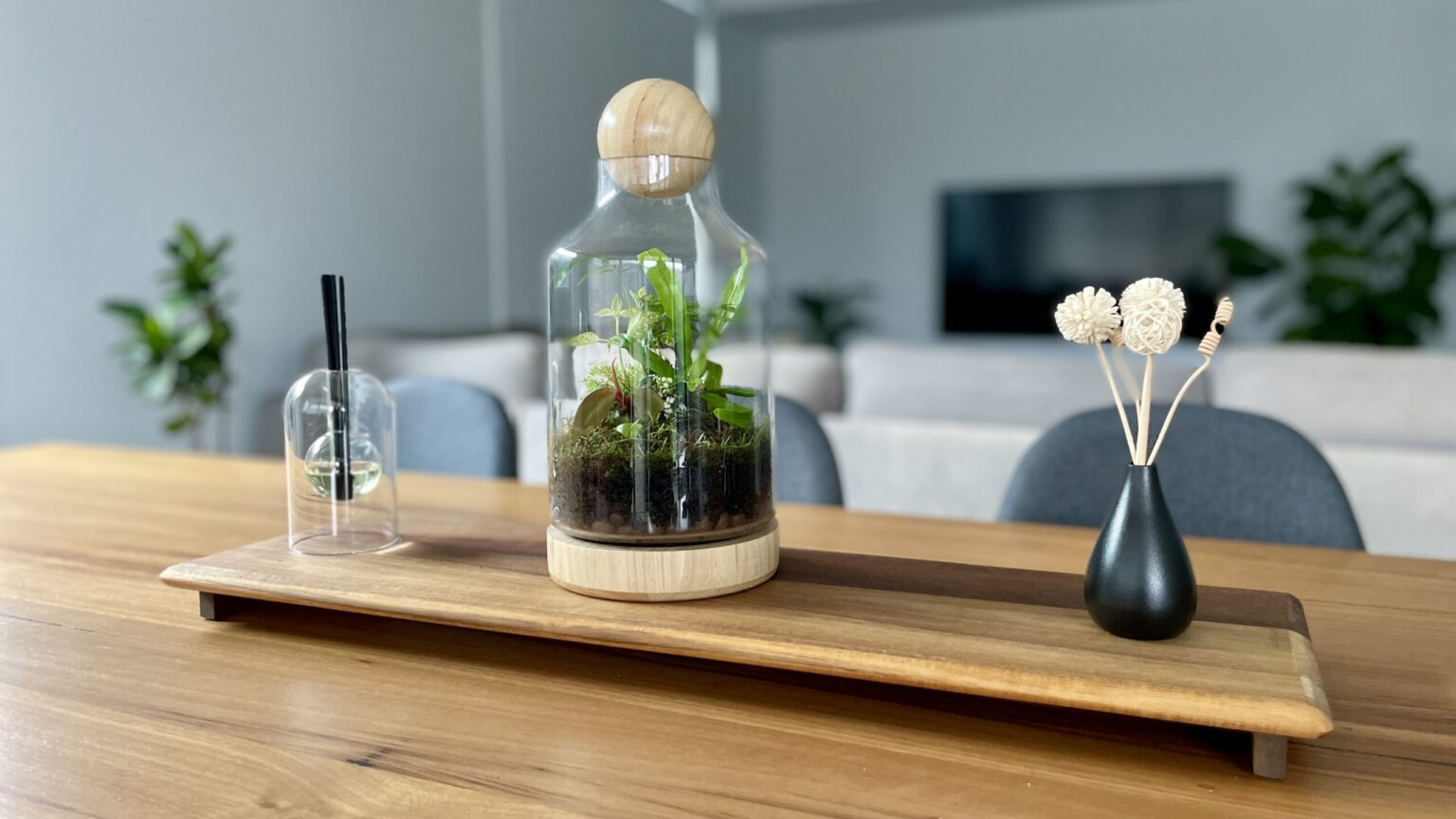 Home - Eko Lab Terrariums
