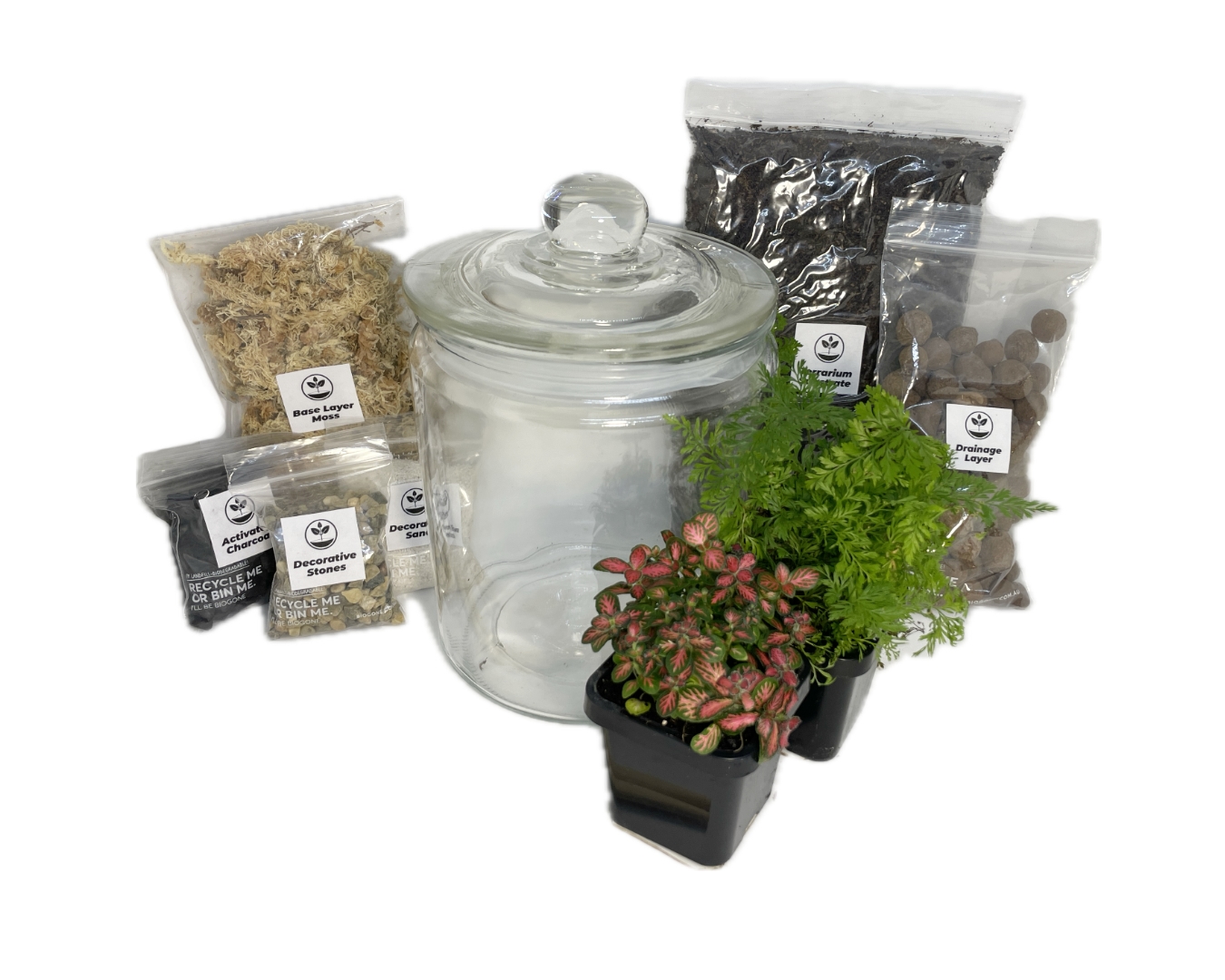 Eko Jar Terrarium - Eko Lab Terrariums