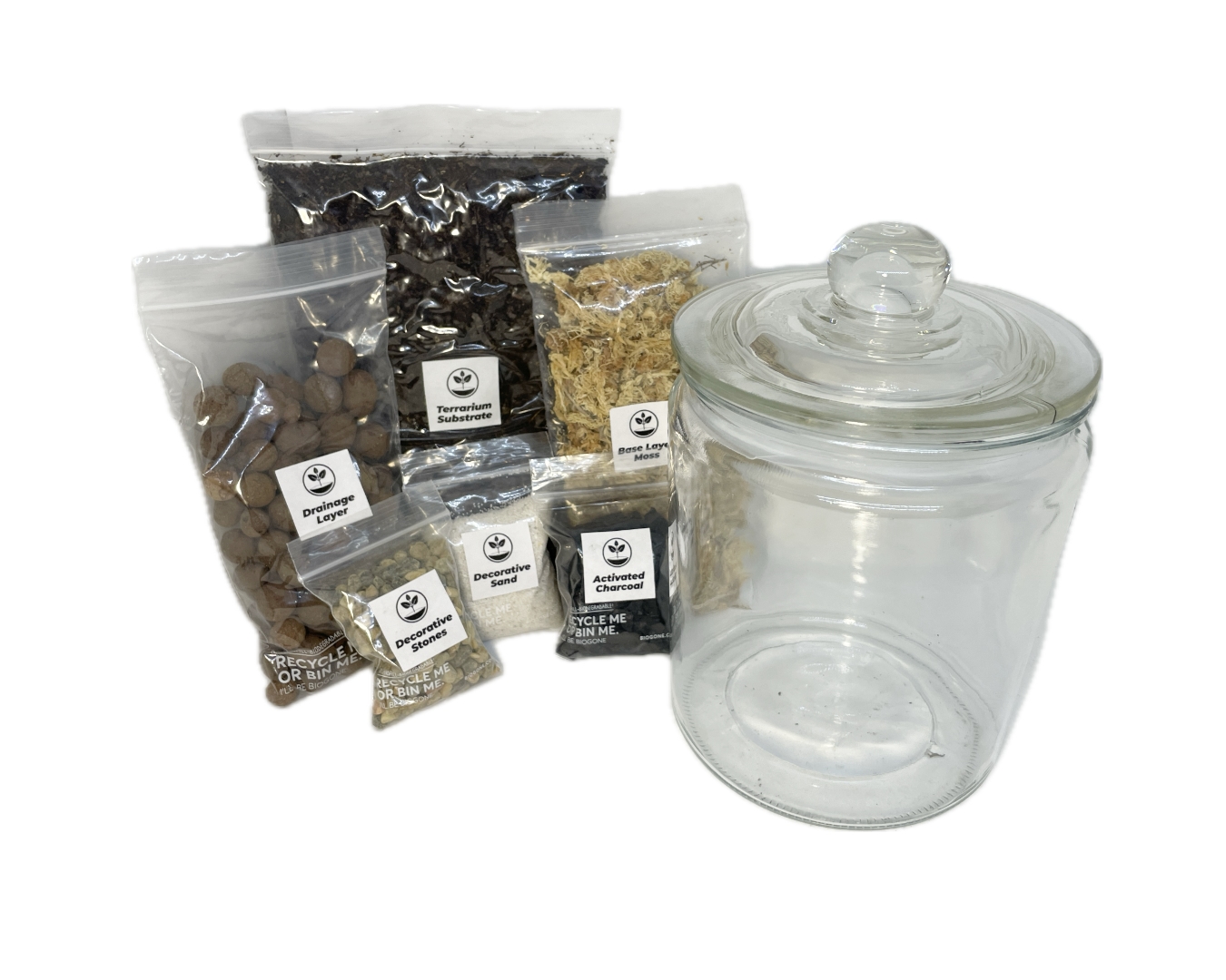 Eko Jar Terrarium - Eko Lab Terrariums